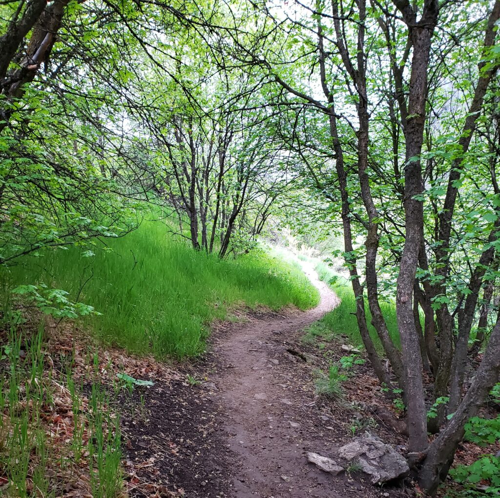 What We Leave Behind on Most Hikes - Bandit Outdoors